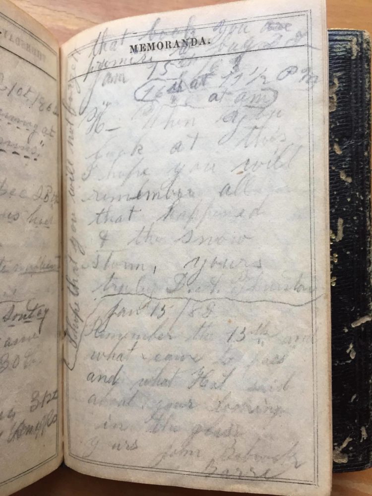 1863 Diary of a 17-Year-Old Teacher in Upstate New York - Diary File